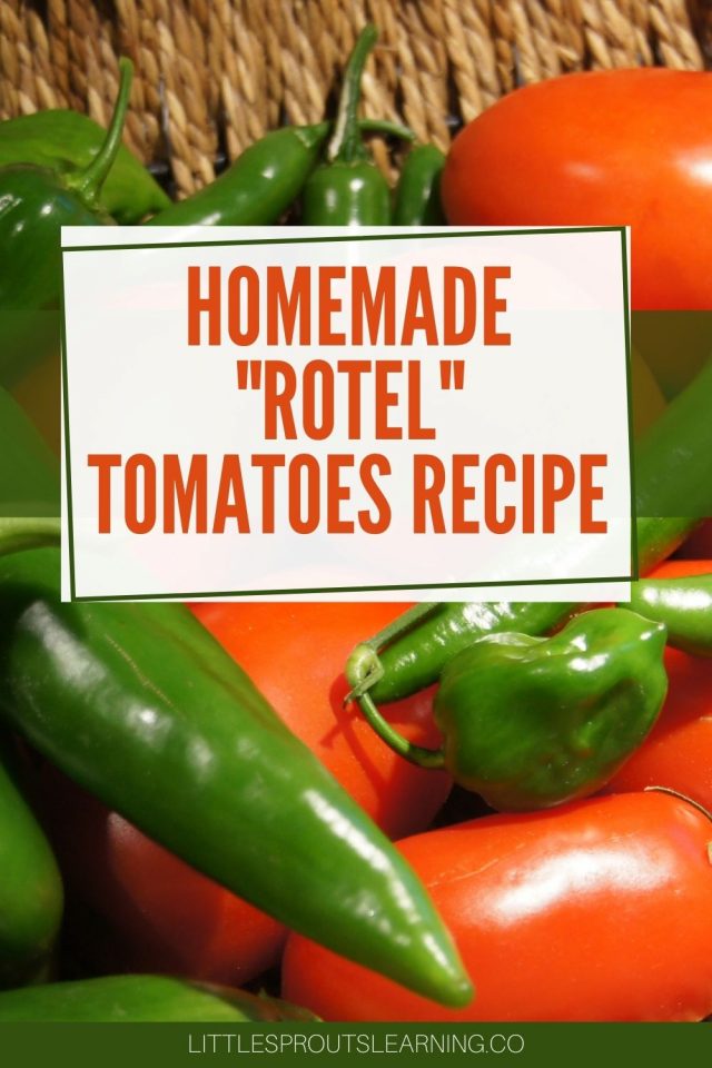 Homemade Rotel Tomato Recipe-Little Sprouts Learning