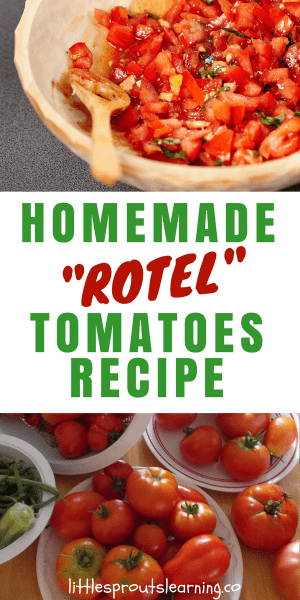 Homemade Rotel Tomato Recipe-Little Sprouts Learning