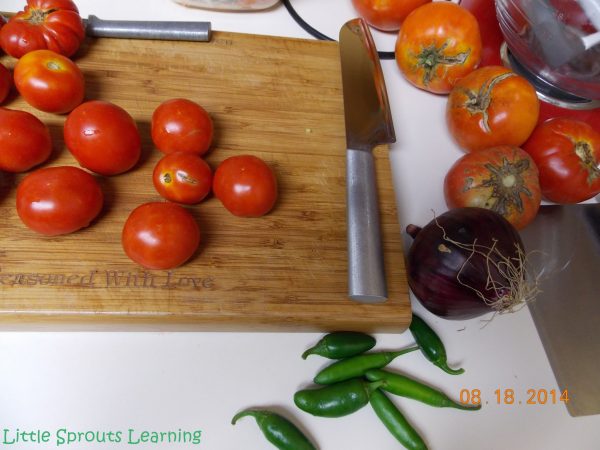 Homemade Rotel Tomato Recipe-Little Sprouts Learning