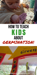 How to Teach Kids About Germination!