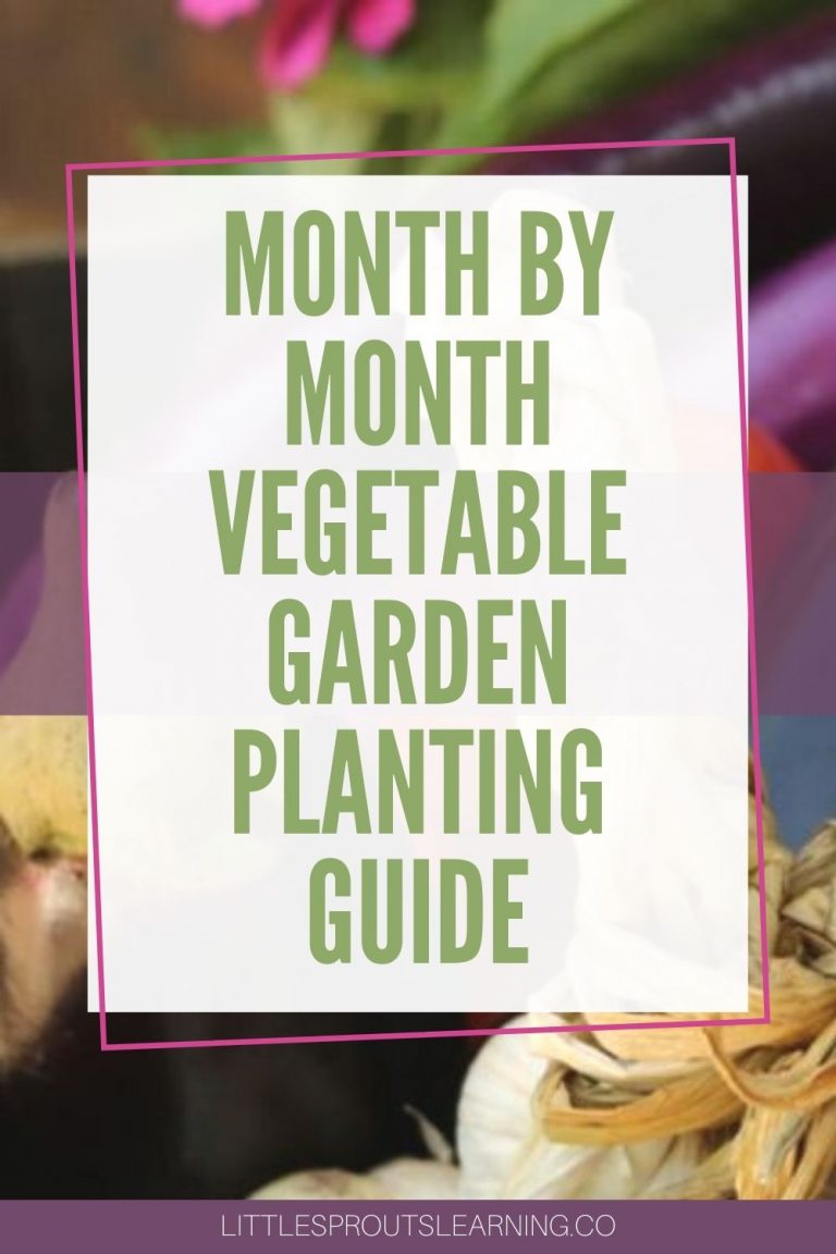 Month by Month Vegetable Garden Planting Guide-Little Sprouts