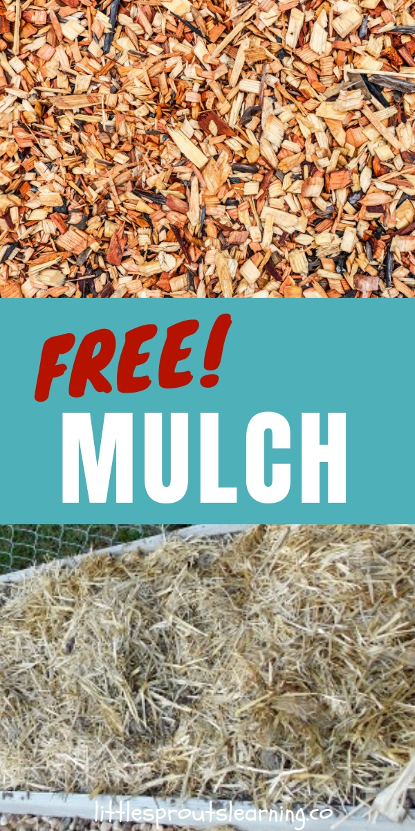 How to Mulch your Garden for Free
