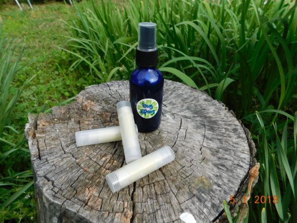 How to Maintain and Sanitize Loofah Sponges