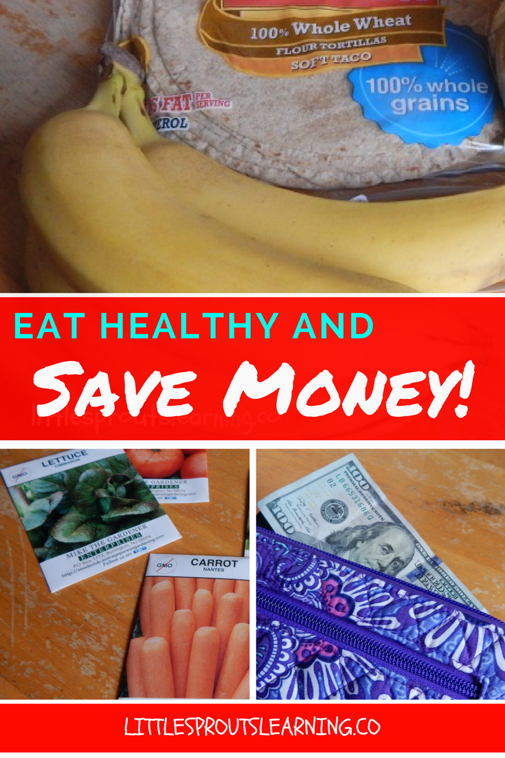 Eat Healthy AND Save Money! - Little Sprouts Learning