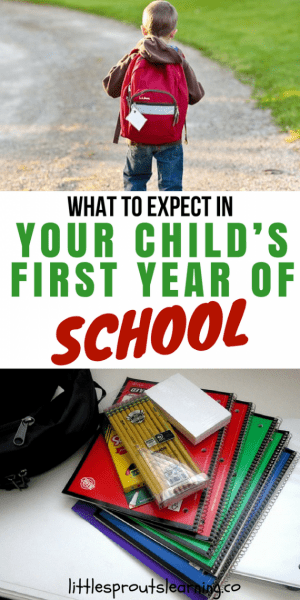 What to Expect in Your Child’s First Year of School-Little Sprouts Learning