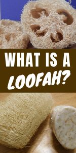 What is a Loofah?