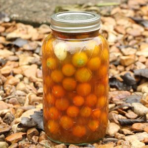 Easy Refrigerator Pickled Cherry Tomatoes-Little Sprouts Learning