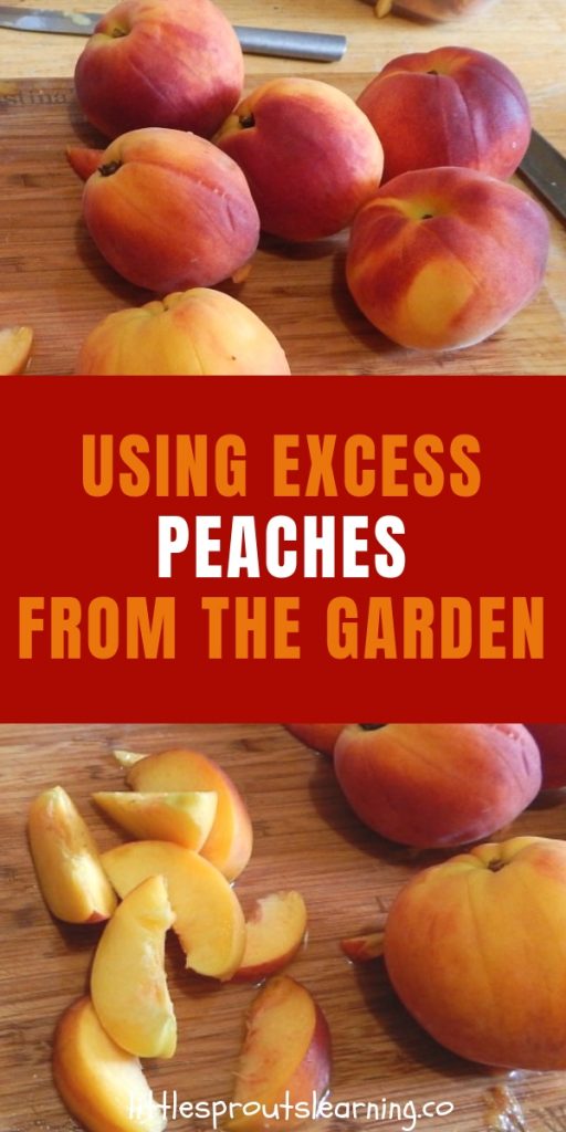Using Excess Peaches from the Garden - Little Sprouts Learning