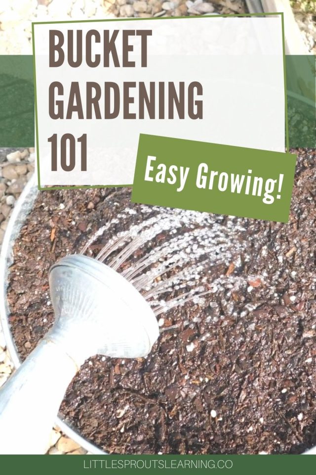 Bucket Gardening 101: How to Grow Food in a Bucket-Little Sprouts