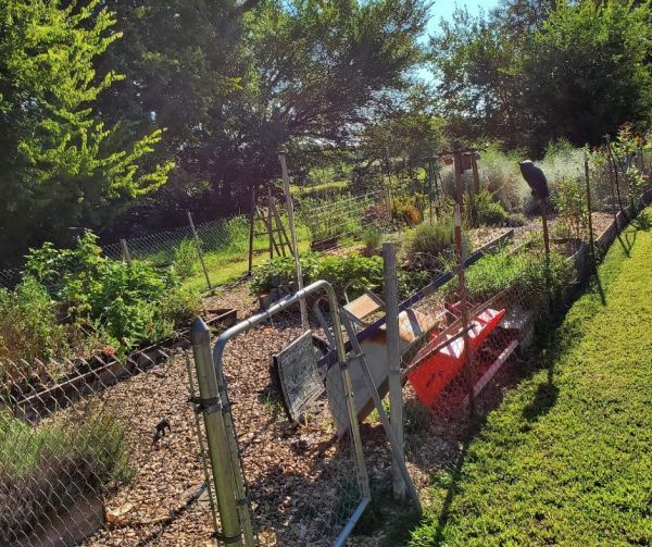 Home Daycare Playground Ideas