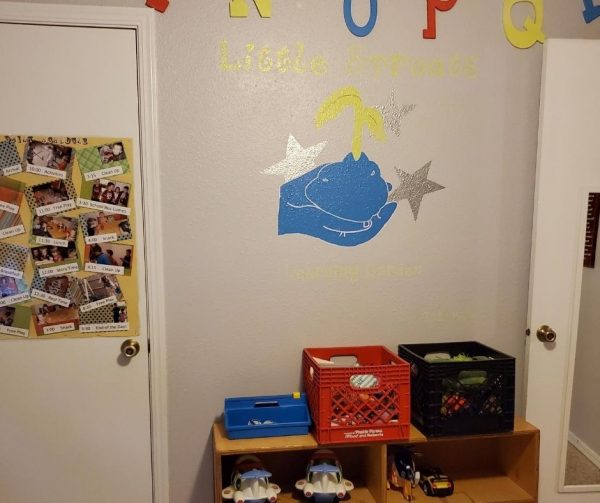 Small Home Daycare Layout-Little Sprouts Learning