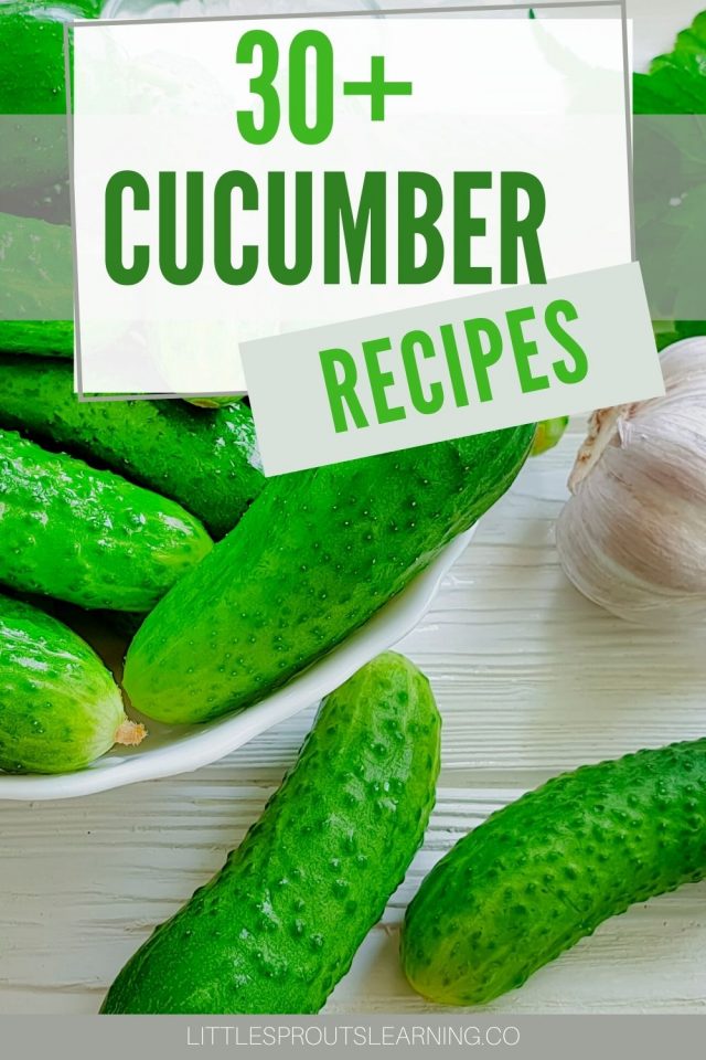 30+ Cucumber Recipes-Little Sprouts Learning