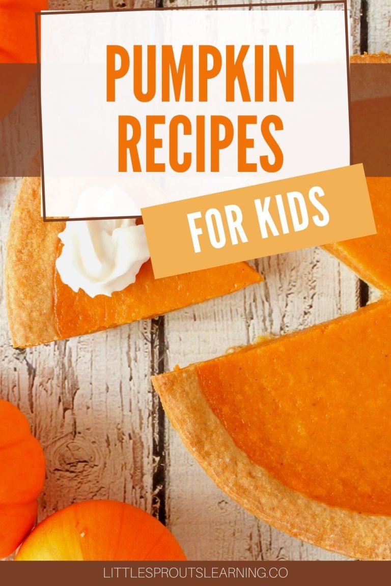 Pumpkin Recipes for Kids-Little Sprouts Learning