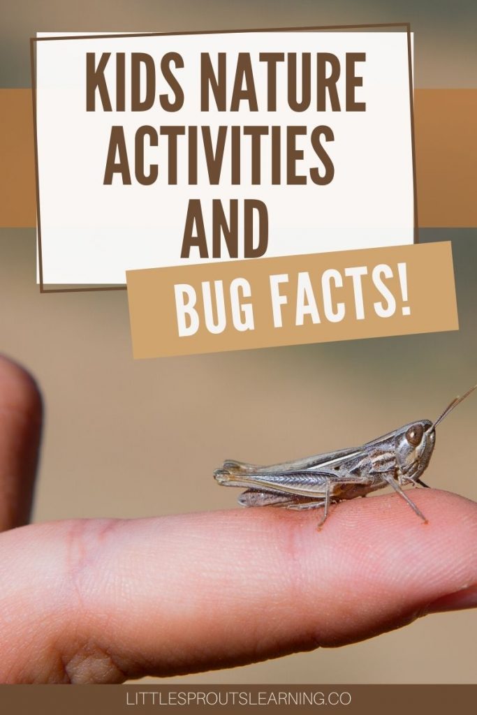 Kids Nature Activities and Bug Facts-Little Sprouts Learning