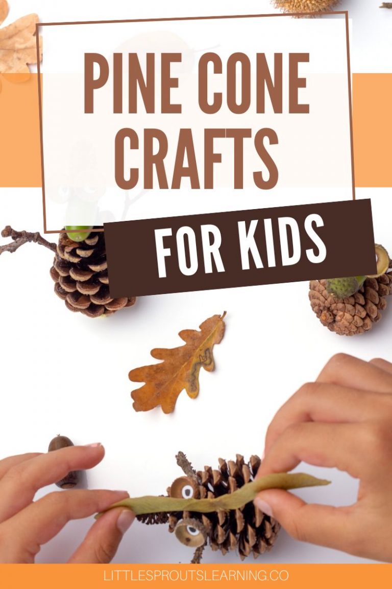 Pine Cone Crafts for Kids-Little Sprouts Learning