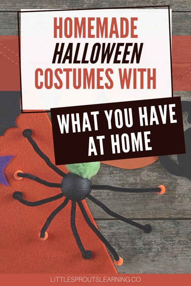 Homemade Halloween Costumes with Stuff from Around the House