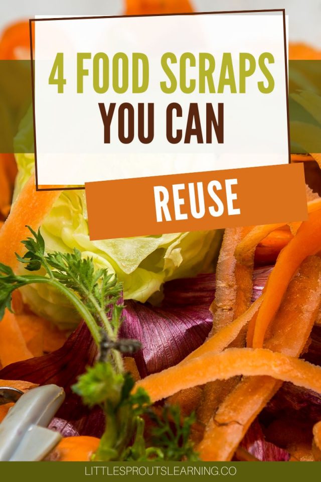 4 Food Scraps You Can Reuse-Little Sprouts Learning