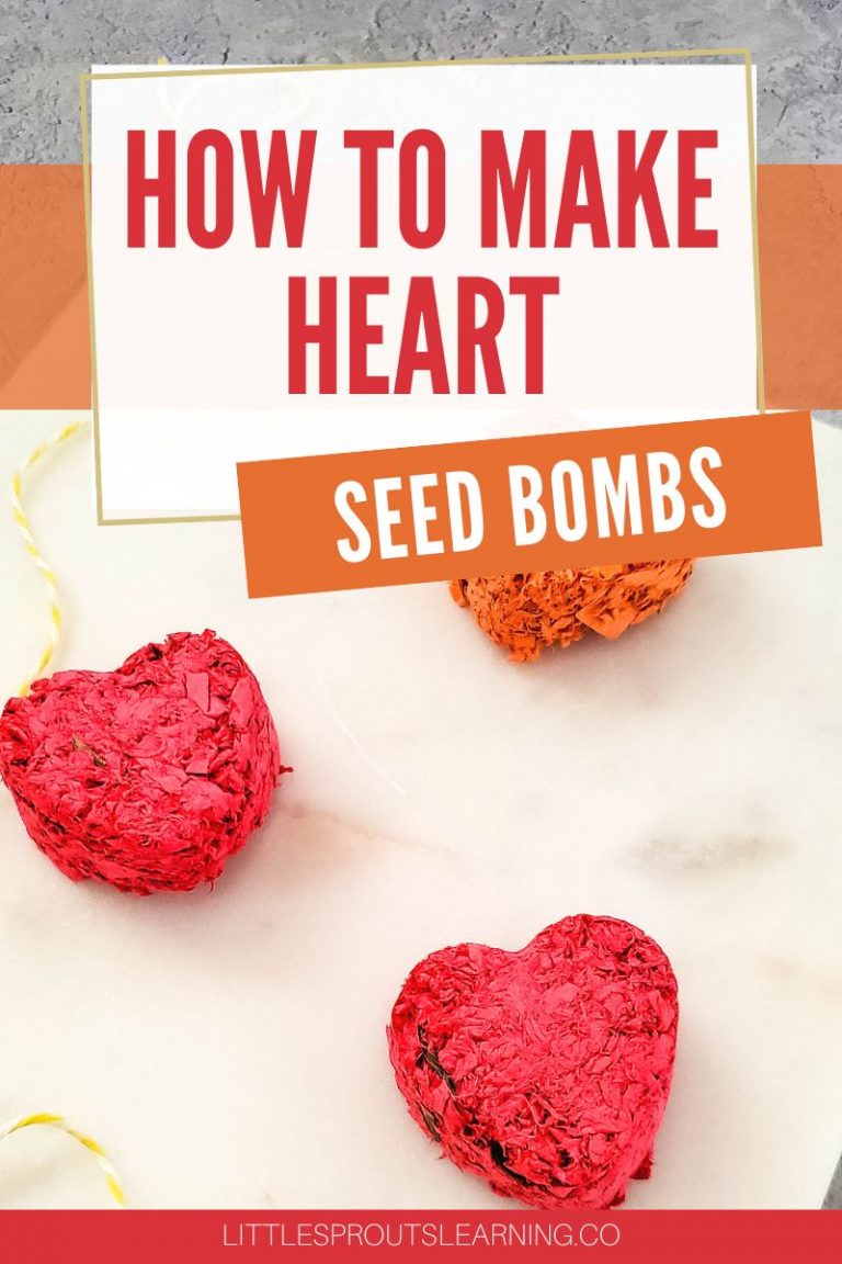 How to Make Heart Seed Bombs-Little Sprouts Learning