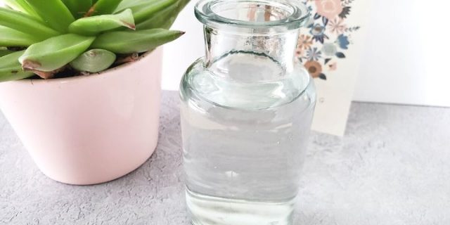 How to Make Homemade Plant Food-Little Sprouts Learning