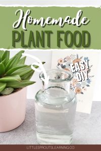 How to Make Homemade Plant Food-Little Sprouts Learning