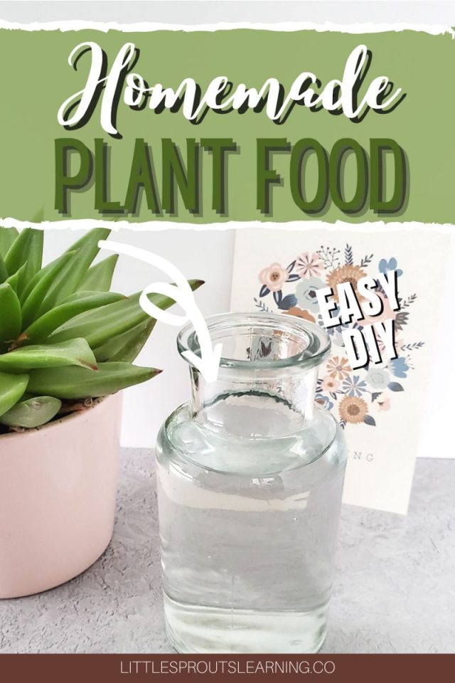 How to Make Homemade Plant Food-Little Sprouts Learning