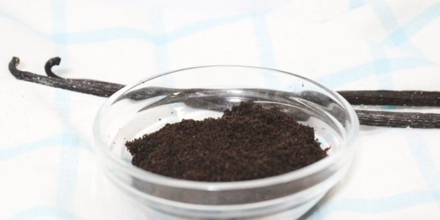 How to Make Vanilla Powder-Little Sprouts Learning