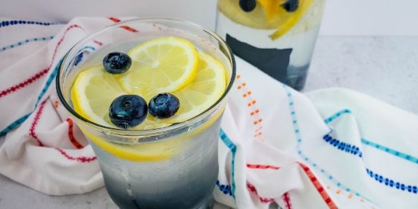 Lemon Blueberry Infused Water-Little Sprouts Learning