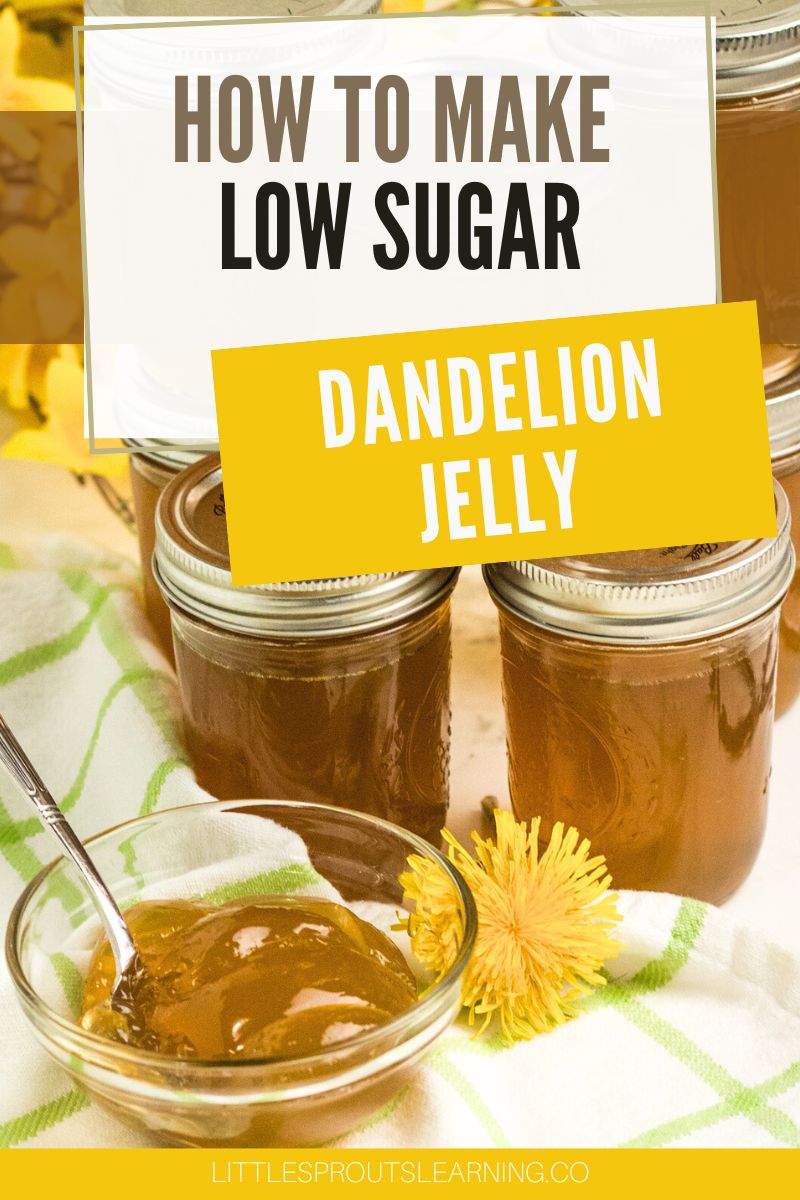 How to Make Lower Sugar Dandelion Jelly-Little Sprouts Learning