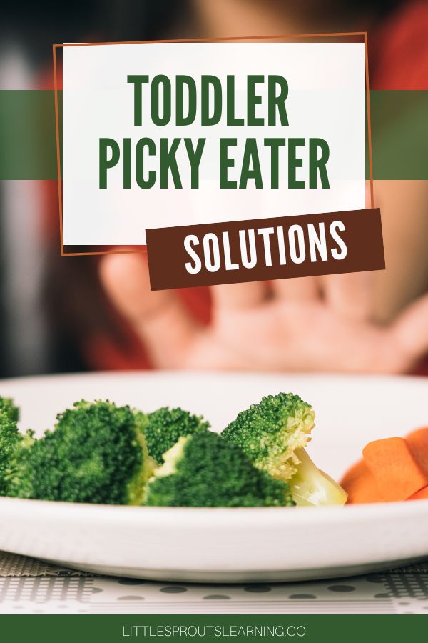 Toddler Picky Eater Solutions-Little Sprouts Learning