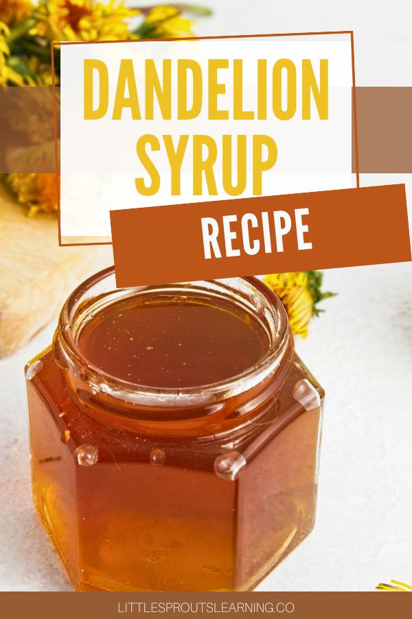 Dandelion Syrup Recipe-Little Sprouts Learning