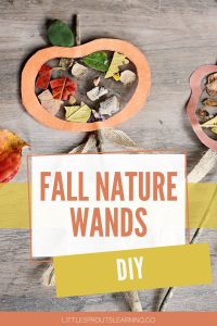 Fall Nature Wands DIY-Little Sprouts Learning