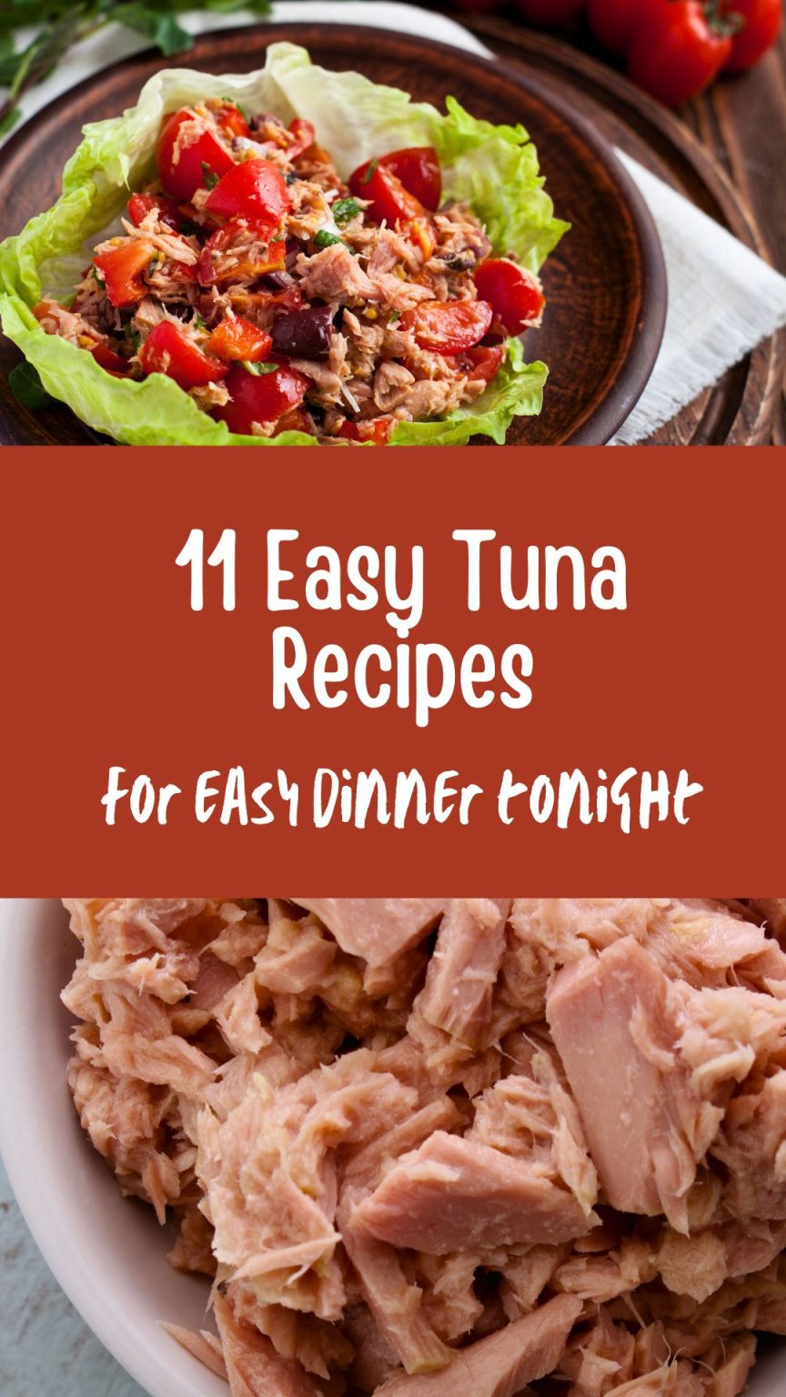 11 Easy Tuna Recipes -Little Sprouts Learning