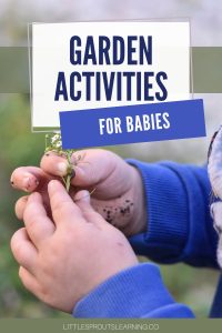 Garden Activities for Babies-Little Sprouts Learning