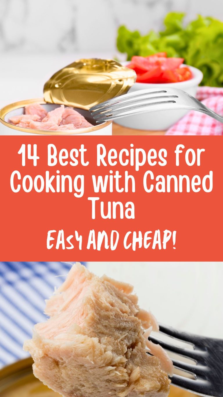 14 Best Recipes for Cooking with Canned Tuna