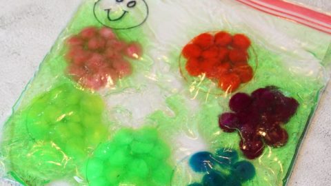 How to Make a Fun Caterpillar Sensory Bag for Toddlers