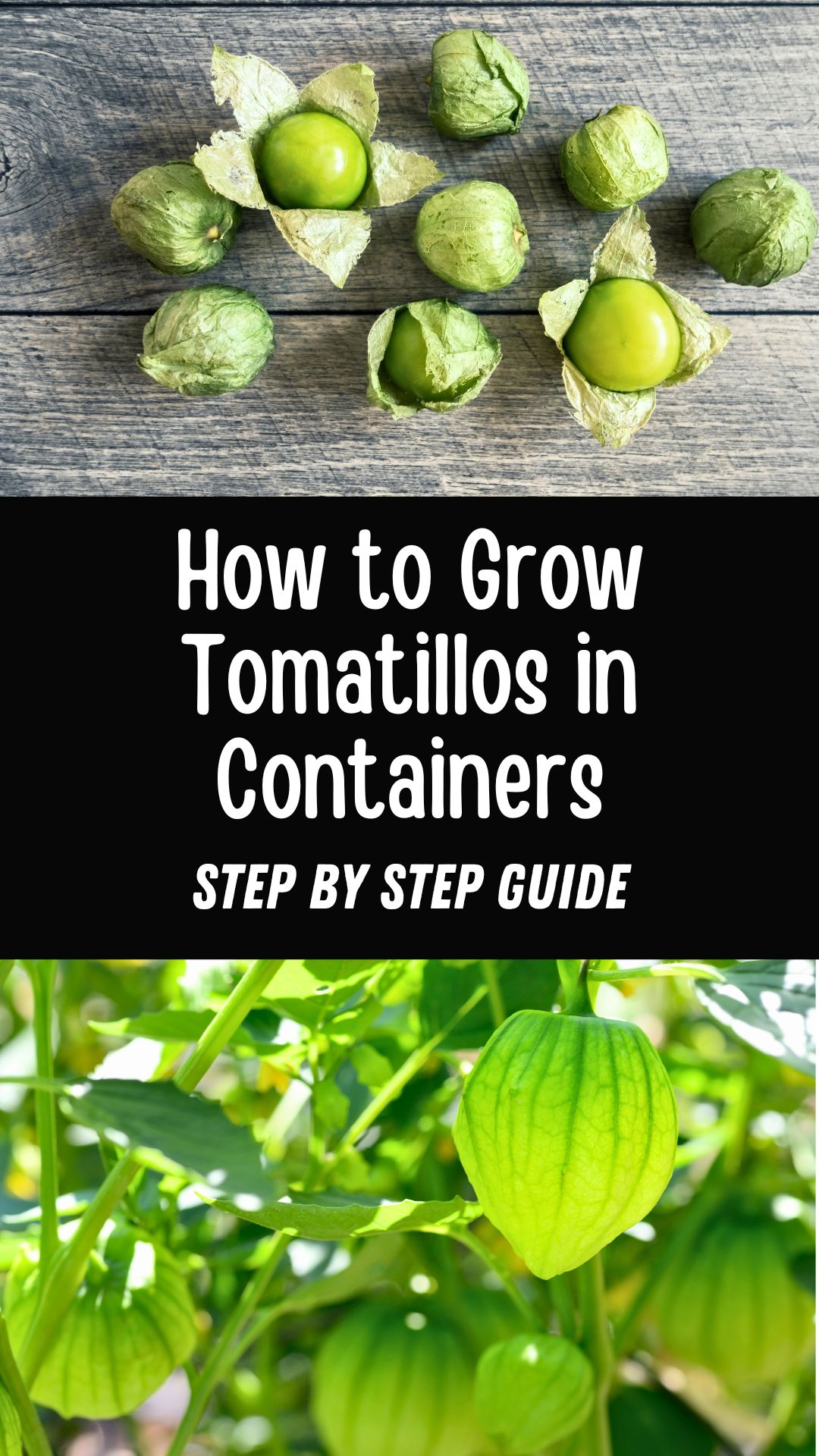 How to Grow Tomatillos in Containers