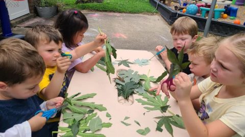 How to Make a Fun Leaf Rubbing Art Nature Activity
