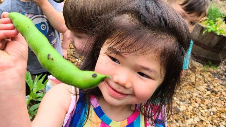 How to Grow Chinese Python Snake Beans